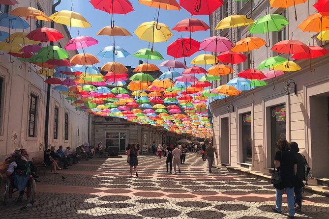 Timisoara: Shared Guided Tour in English - A Close Look at the Itinerary: What to Expect