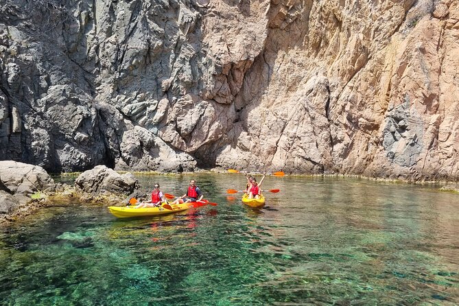 Tossa de Mar: Kayak & Snorkel Tour with Paella from Barcelona - Kayaking Along the Costa Brava: Caves, Cliffs, and Wildlife