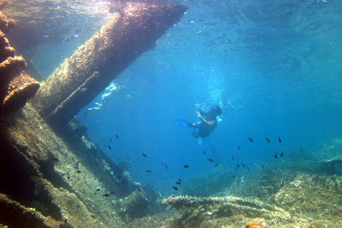 Tour in rubber dinghy and snorkeling in the Protected Marine Area of Tavolara - An In-Depth Look at the Tavolara Snorkeling Tour