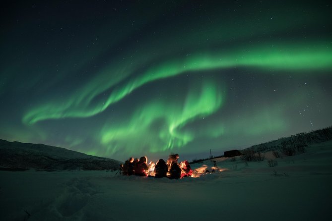 Tromsø: Aurora Hunt with Citizen Science with Wandering Owl - Key Points