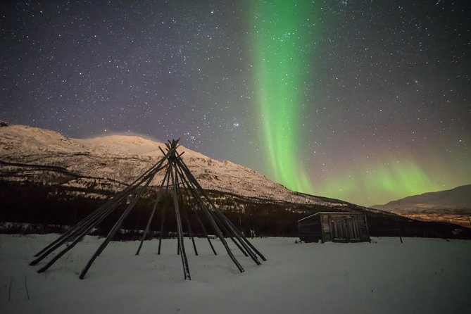 Tromsø: Northern Lights Chase Minibus Tour - Is This Tour Right for You?