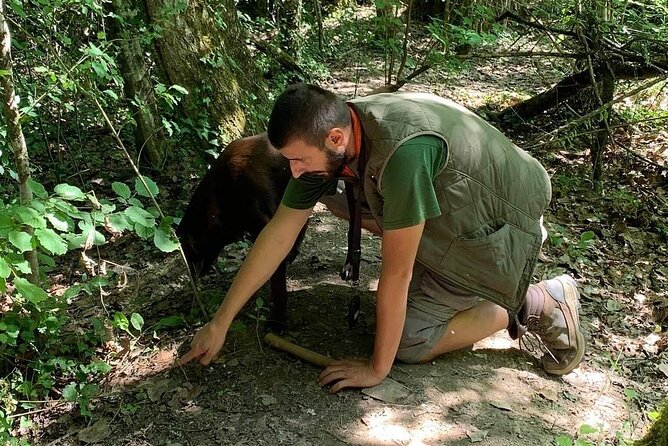 Truffle hunting adventure - An Up-close Look at the Truffle Hunt