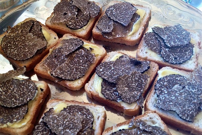 Truffle Hunting in Provence - An In-Depth Look at the Truffle Hunting Experience
