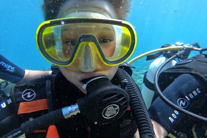 Try a Scuba Diving Experience - Why This Experience Stands Out