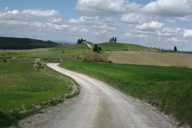 Tuscany Hiking Tour from Siena Including Wine Tasting - A Walk Through History and Nature