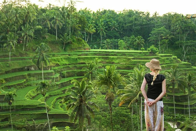 Ubud: Monkey Forest, Jungle Swing, Rice Terrace, and Water Temple - The Itinerary in Detail