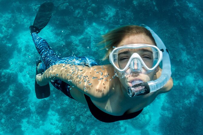Uncharted Marine Reserve Cave, Snorkel & Cliff Jumping Kayak Tour - Why You’ll Love the Experience