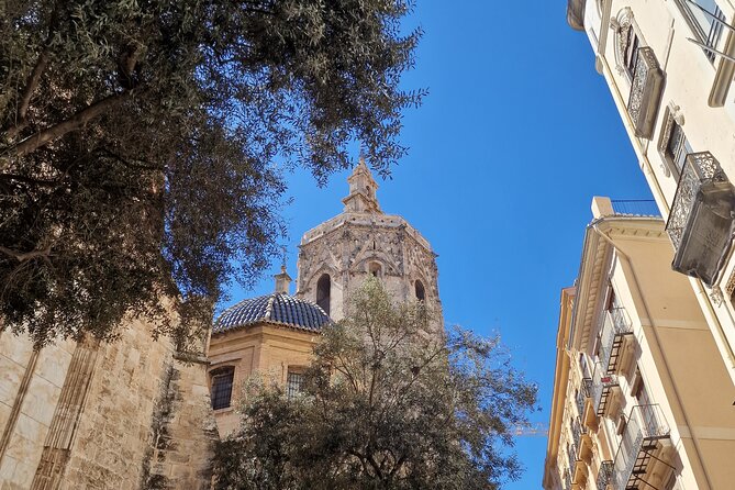 Valencia Private Walking Tour with Official Valencian Guide - An Intricate Walk through Valencia’s Historic Heart