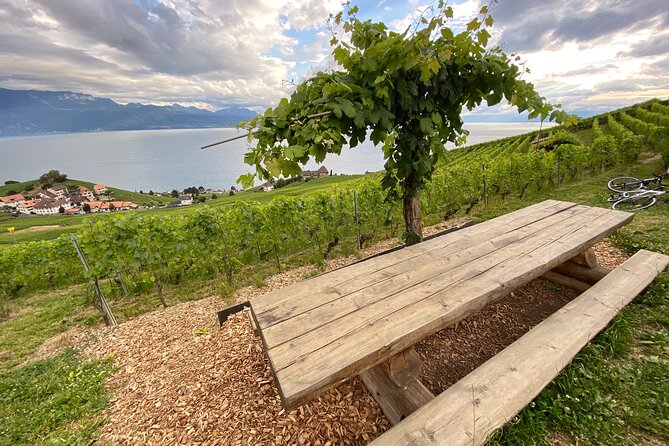 Vine Stories: Lavaux & Lutry wine walk - Key Points