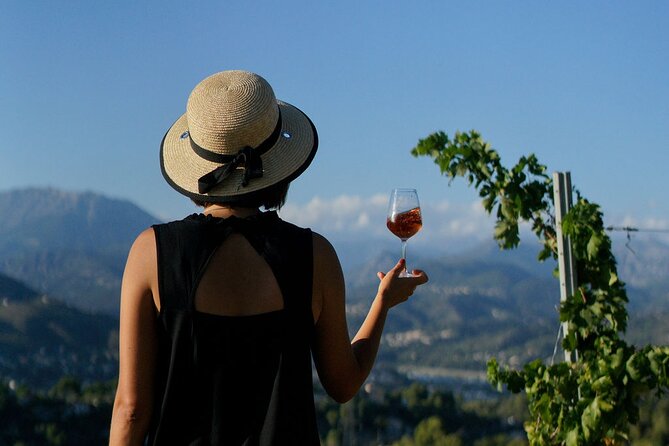 Vineyard Tour with Wine Tasting within Nice city borders - What to Expect from the Vineyard Tour and Wine Tasting