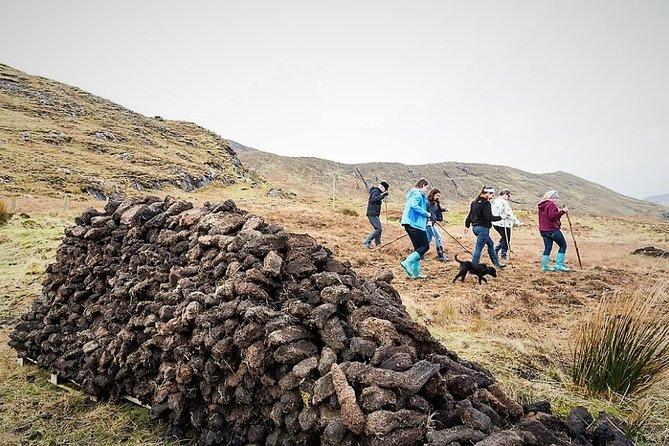 Visit traditional working sheep farm & sheepdog demo. Galway. Guided. 1 ½ hours. - The Practicalities and Value
