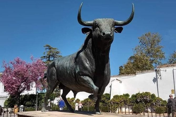 Visita Guiada Ronda - Key Points