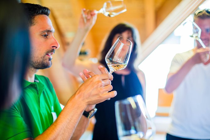 Wachau Valley Small-Group Tour and Wine Tasting from Vienna - What Makes This Tour Special