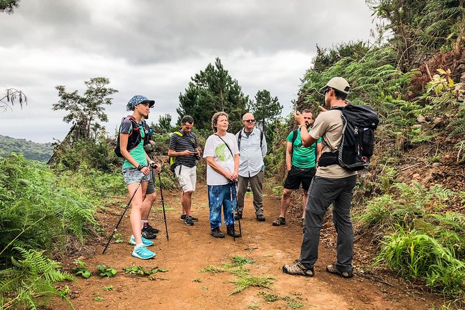 Walk with a local - Why You’ll Love This Tour