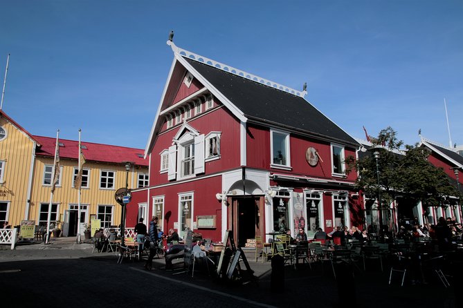 Walking tour of Reykjavik city - Tour Highlights and Key Stops