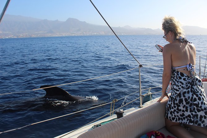 Whale and Dolphin Small Group Sailing from Tenerife South - Meeting Point and Logistics