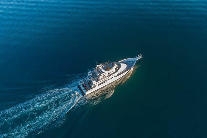 Whale Watching Cruise on a Yacht in Reykjavik - Analyzing the Itinerary