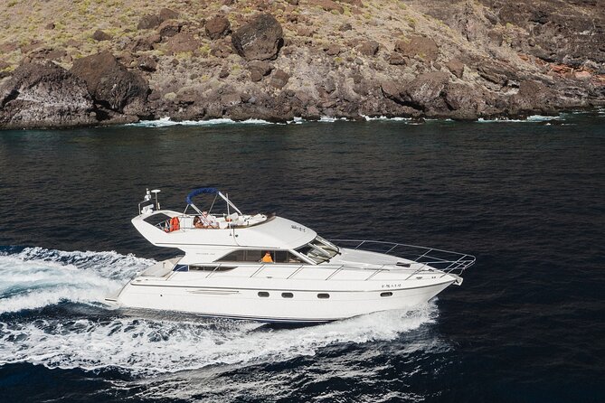 Whales and Dolphins excursion on a Luxury Yacht in Canary Islands - Key Points