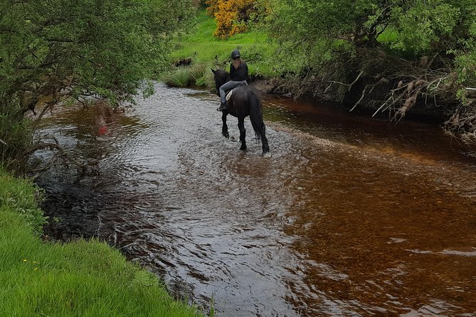 Wicklow Mountains Horse Trekking - Meeting Points and Logistics
