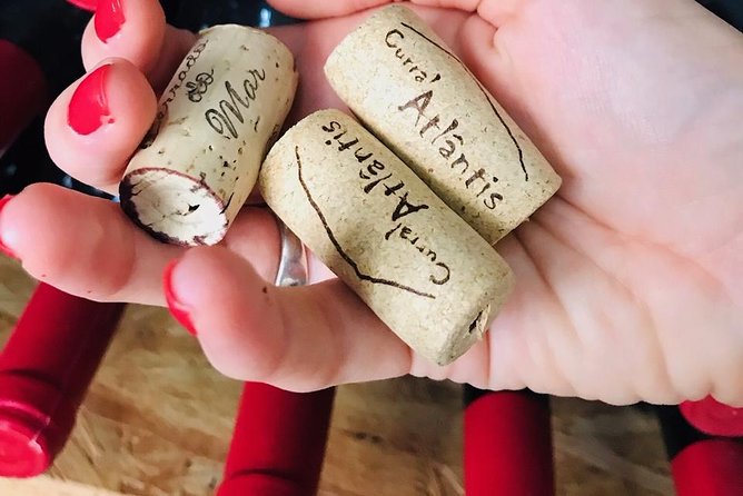 Wine, Cheese & Charcuterie Tasting, including complimentary tour - The Itinerary: What You Can Expect