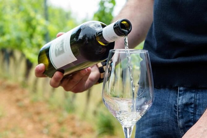 Wine Experience in farm vineyard & winery from Montecatini T. - The Value and Practical Considerations