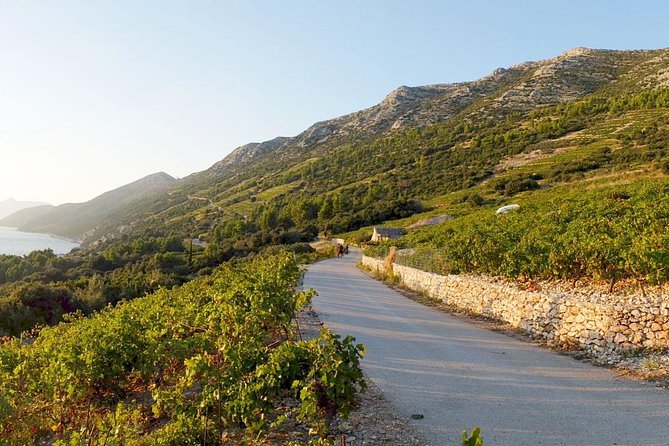 Wine Lover's Tour of Peljesac Peninsula - An Introduction to the Peljesac Peninsula Wine Tour