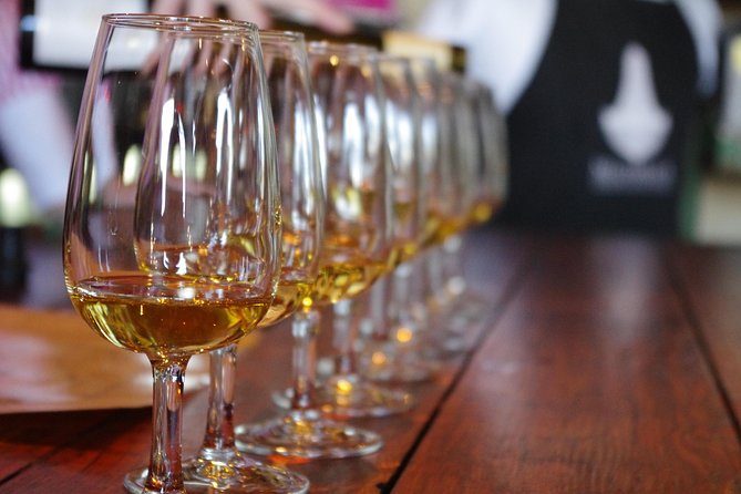 Wine on Waiheke scenic PREMIUM wine tasting. 11 clients only ! - Overview and What to Expect
