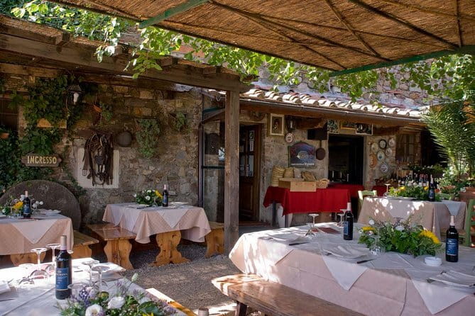 Wine Safaris: Off Road Tuscany Wine Tours and Lunch from Florence - The Experience: What It Feels Like
