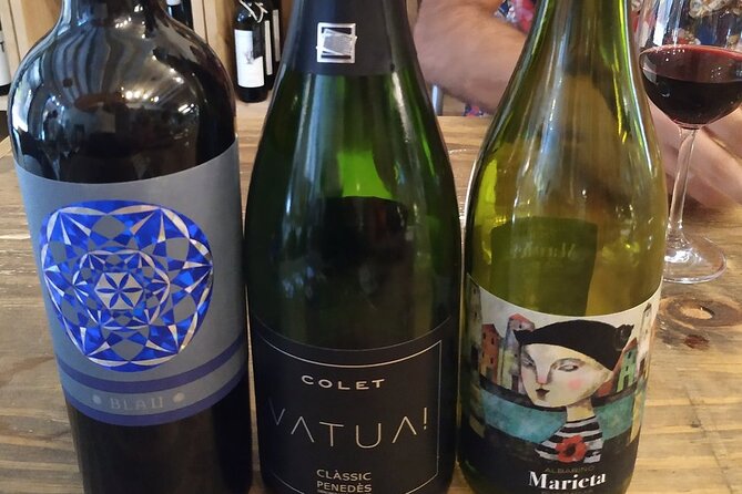 Wine Tasting Experience in Barcelona - An Easy-to-Understand Overview of the Tour