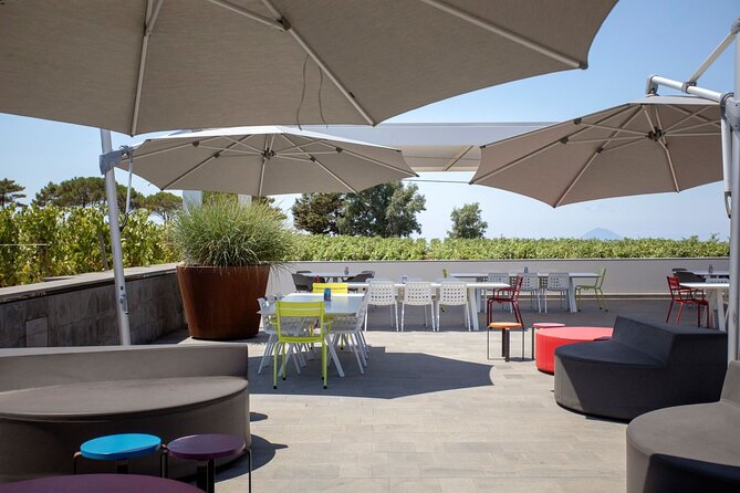Wine tasting THE CLASSICS - What to Expect from the Wine Tasting Tour