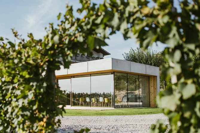 Wine Tasting with Pairing Snacks in Vipava Valley - What Makes This Wine Tasting Stand Out?