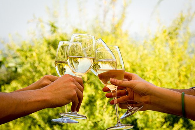 Wine Tour: Paarl, Franschhoek & Stellenbosch incl 3 wineries - A Practical, Authentic Day in the Cape Winelands
