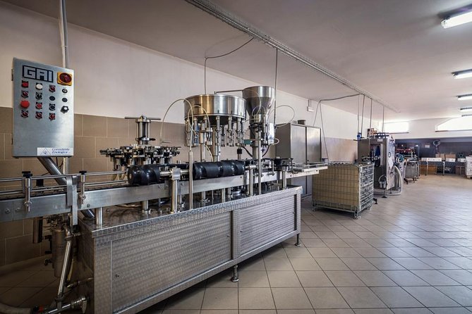 Winemaker for a Day: Tour an Organic Winery - An Authentic Visit to Assisi’s Organic Winery