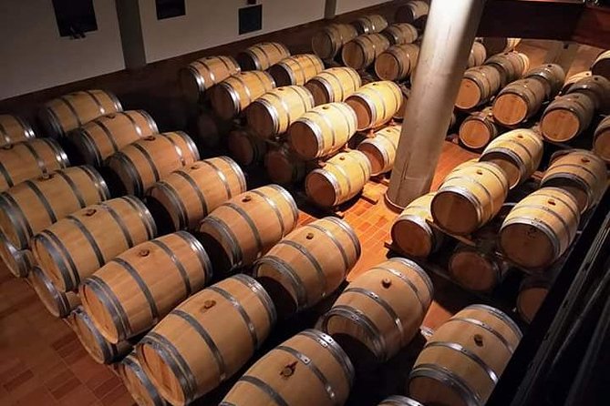 Winery tasting in Marsala and Mothia lagoon tour - Key Points