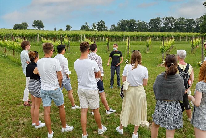 Winery Tour and Tasting of Garda Wines in Lazise - What Makes This Tour Stand Out