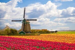 Zaanse schans windmills, clogs and dutch cheese small group tour from amsterdam in depth look at the zaanse schans tour experience