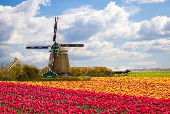 Zaanse schans windmills, clogs and dutch cheese small group tour from amsterdam in depth look at the zaanse schans tour experience
