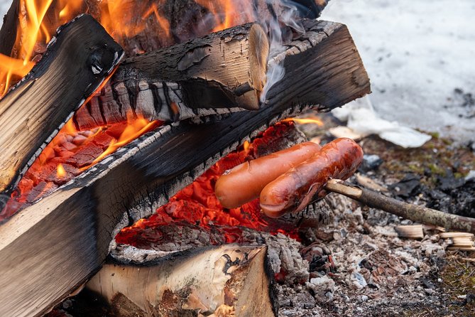 Zakopane & Sleigh Ride with Bonfire - Private Day Trip from Krakow - A Detailed Look at the Tour Experience