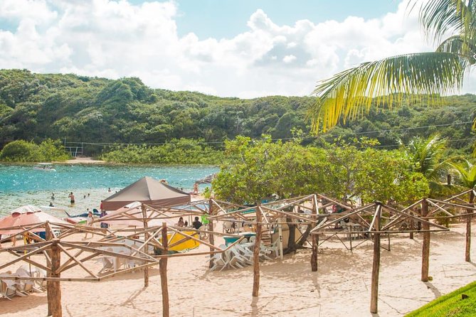 1 day tour to the south coast with lagoa / rn leaving natal / rn practical details: what to expect