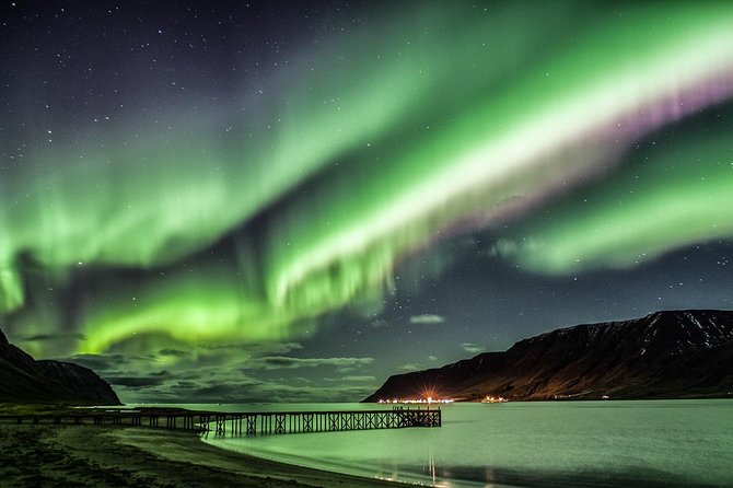 #1 northern lights tour in iceland from reykjavik with pro photos the benefits and limitations
