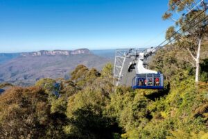 #1 rated blue mountains tour, scenic world, lunch, rivercruise insights from reviewers