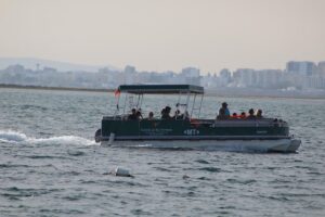 4 stops | 3 islands & ria formosa natural park from faro the experience on the water and on land