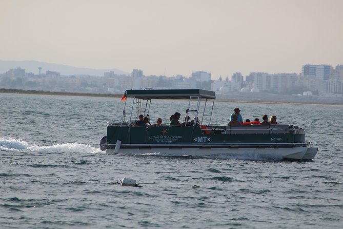 4 stops | 3 islands & ria formosa natural park from faro the experience on the water and on land