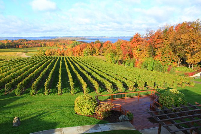 5 hour traverse city wine tour: 4 wineries on old mission peninsula who should consider this tour?