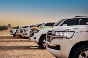 Abu dhabi evening desert safari bbq, camel ride, entertainments who will love this tour?