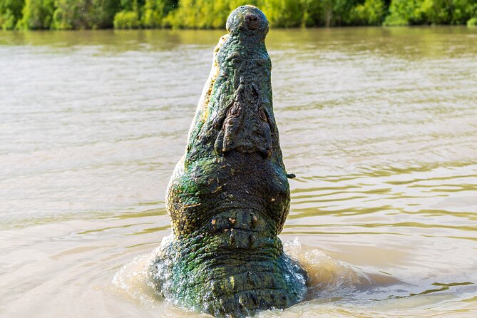 Adelaide river cruises jumping crocodile experience who is this tour best for?