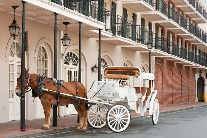 Adults only new orleans ghost, crime, voodoo, and vampire tour guides, group size, and atmosphere