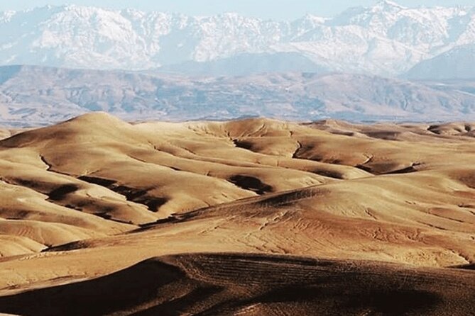Agafay desert package, quad bike, camel ride and dinner show what the reviews say
