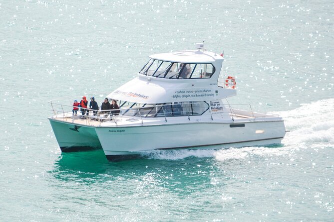 Akaroa dolphins harbour nature cruise final thoughts
