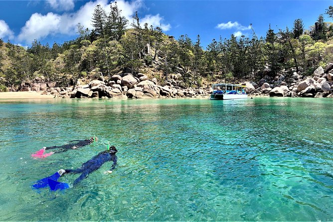 Aquascene magnetic island discovery tour analyzing the value and overall experience